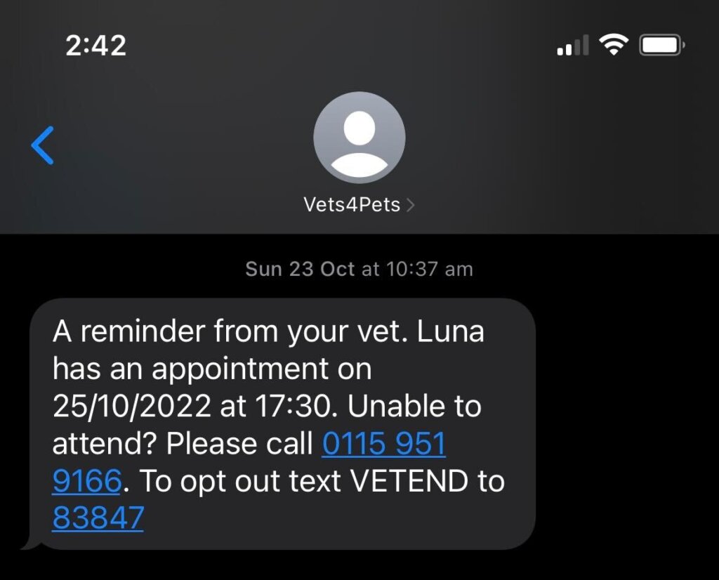 5 best ways to use WhatsApp Business Platform | Esendex UK