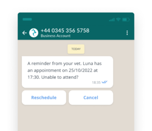 How to use WhatsApp Business Platform: Tips & tricks | Esendex UK