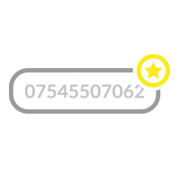 Virtual Mobile Number - 2-way SMS service from Esendex UK